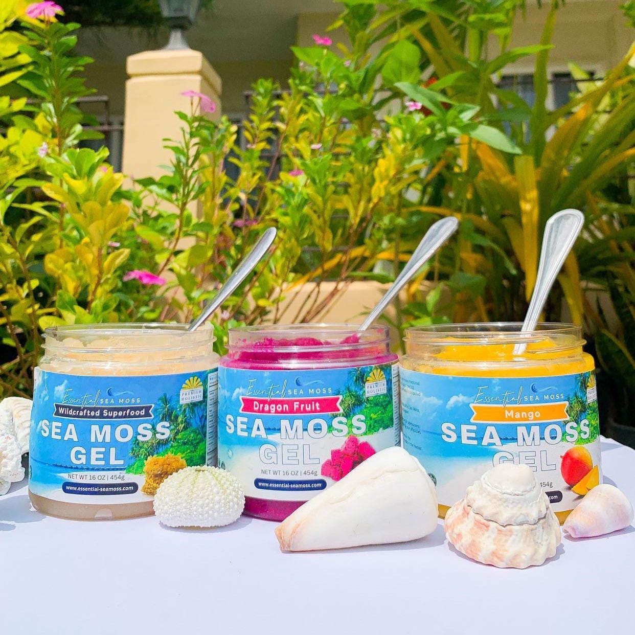 Wildcrafted Sea Moss Gel | Fruit Infused | Essential Sea Moss